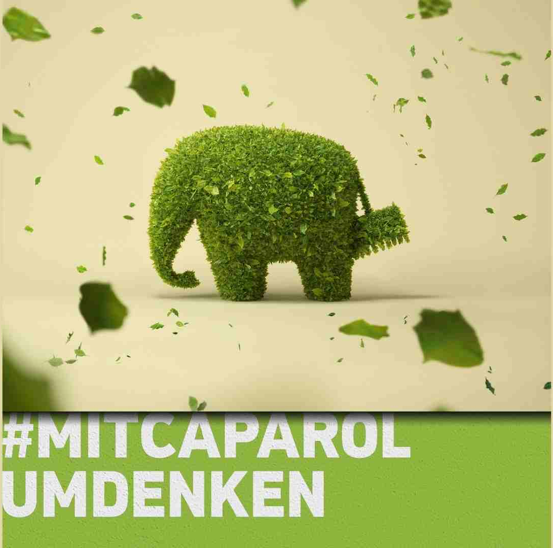Caparol setzt auf Premium-Qualität in Grün | Verlag W. Sachon